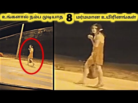 நம்ப முடியாத உயிரினங்கள் || Mythical Creatures that Actually Existed || Tamil Info Share