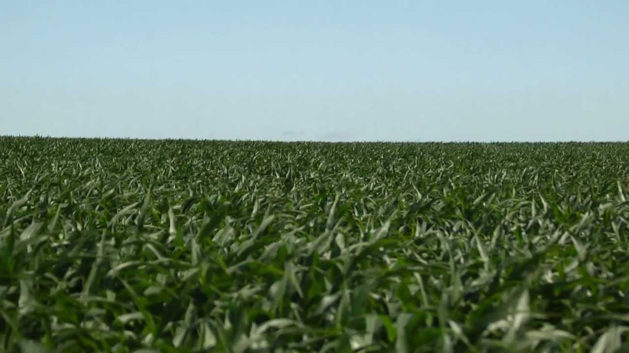Aerial Application: The AgriBusiness Report