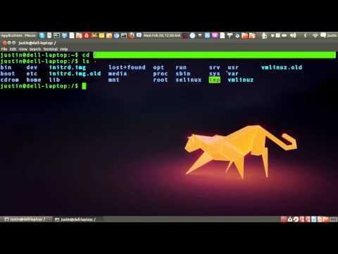 the root directory in linux - "/root/" - the linux file system
