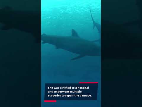 Shark Attack - Bethany Hamilton