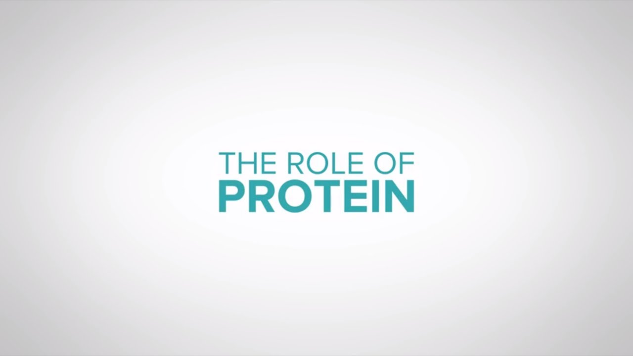 The role of protein in dairy cow nutrition