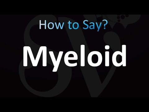 How to Pronounce Myeloid (correctly!)