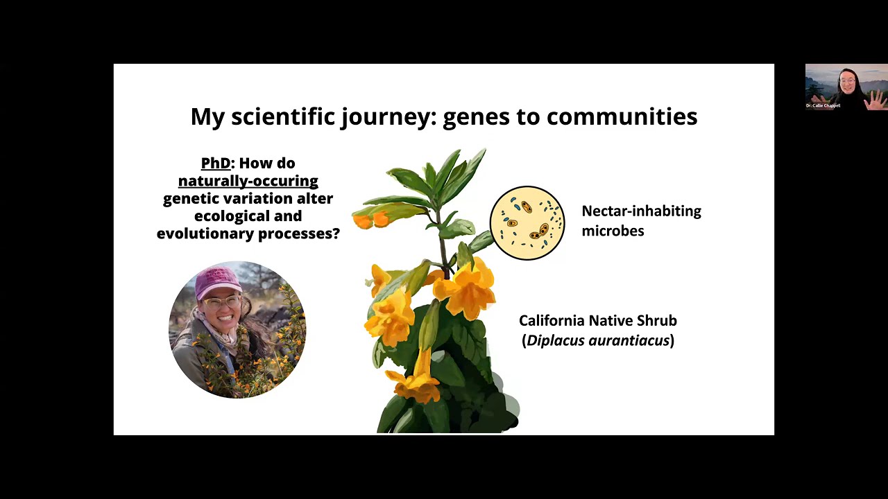 How Ecology Can Inform the Evaluation & Governance of Engineered Microbes for Environmental Release
