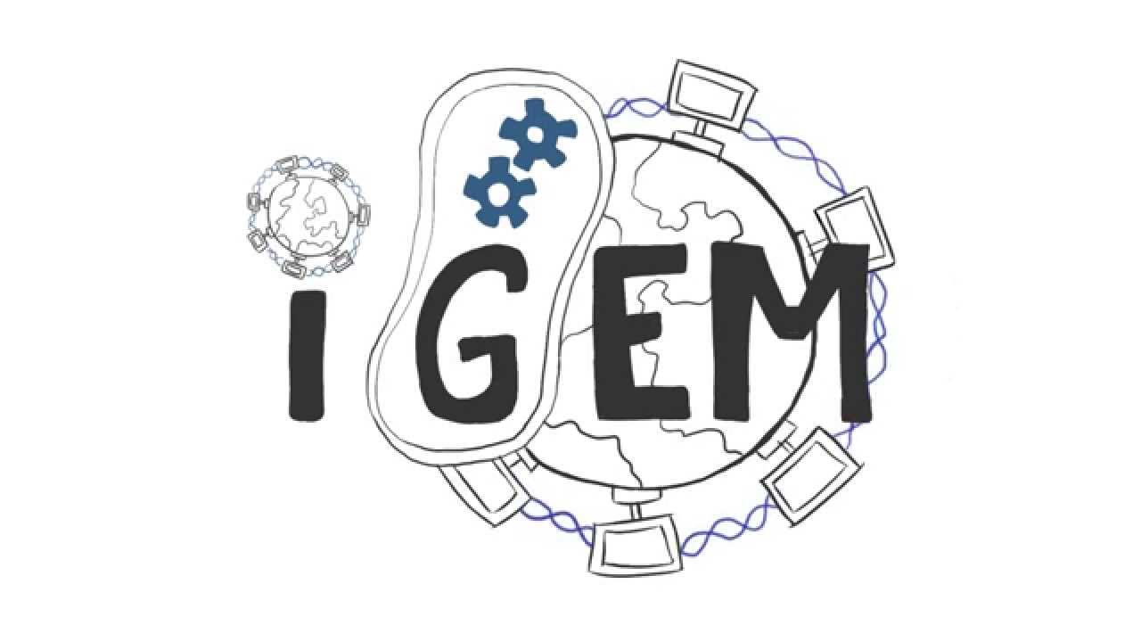 iGEM@home