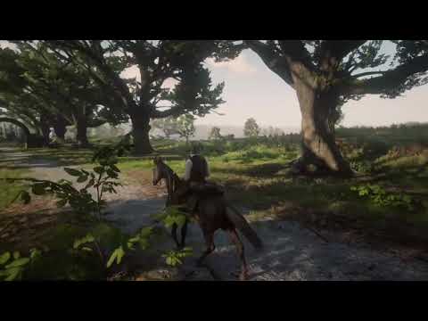 The Braithwaites Secret! Easter Egg - Red Dead Redemption 2