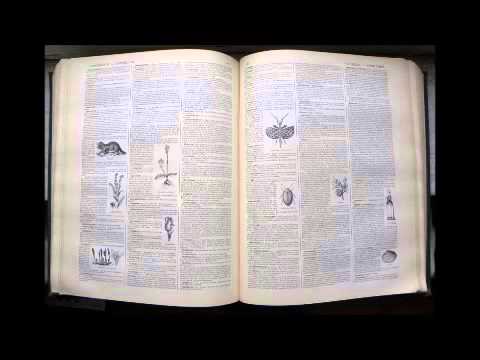 Anse | Dictionnaire français audio