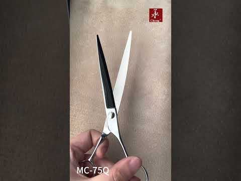 Scissor Mastery: Transforming Your Pet's Look with Professional Grooming Techniques #shorts #foryou