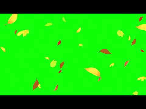 Falling Leaves Green Screen | Autumn Leaves Falling Green Screen Video | Green Screen Leaves Falling