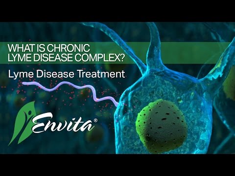 How Lyme Disease Evades the Immune System and Forms a Biofilm ...