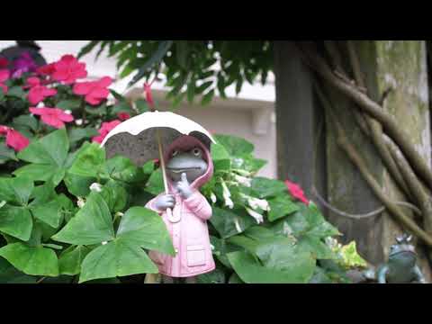 Fairwinds - Brittany Park Senior Living - Virtual Tour