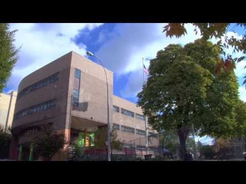 M.S. 390 Bronx
