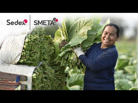 SMETA Social Audits