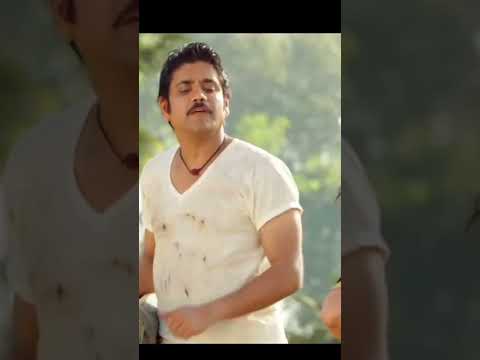 kya hai hindi mai I Love You ka matlab🤣
