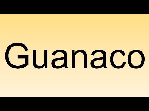 How to pronounce Guanaco