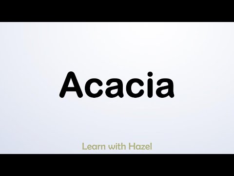 How to Pronounce Acacia? (CORRECTLY)