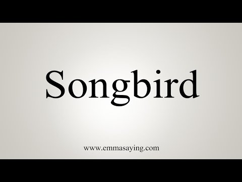 How To Say Songbird