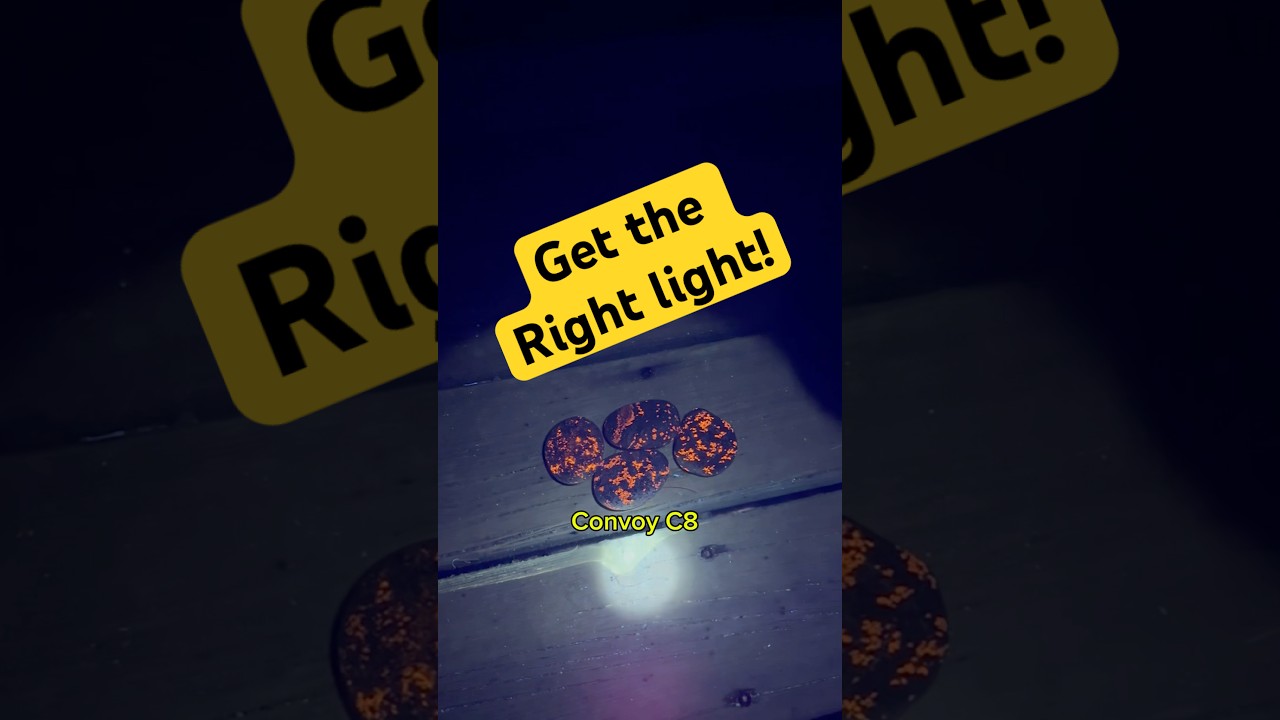 Find more Yooperlites with the Right UV light