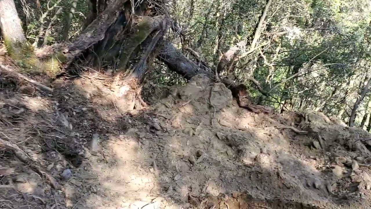 Switchback Construction