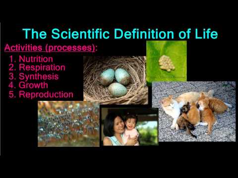 The Scientific Definition of Life (Activities)
