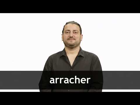 English Translation of “ARRACHER” | Collins French-English Dictionary