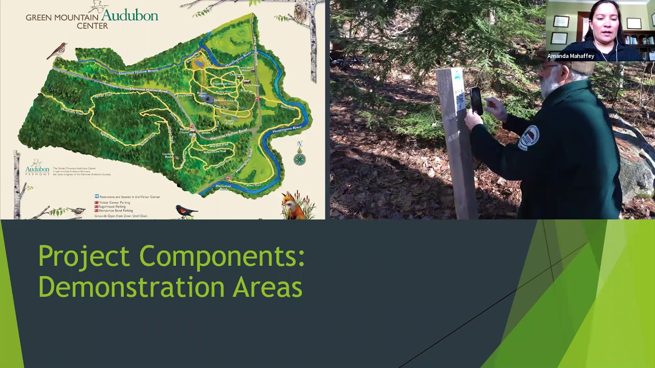 Foresters for the Birds