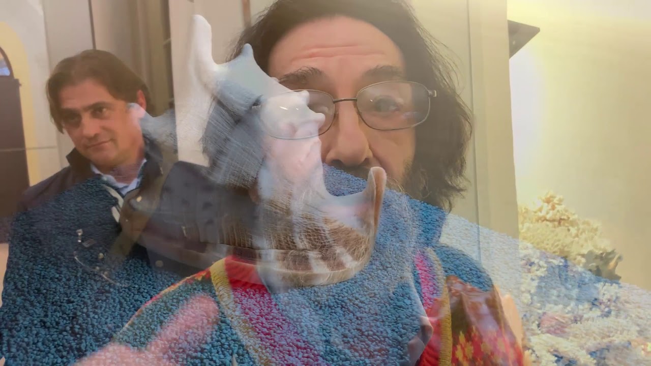 Video Blog - Alberto Santini