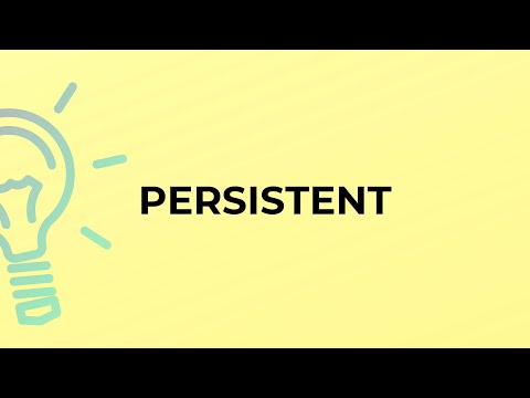 What is the meaning of the word PERSISTENT?