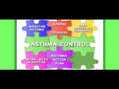 Pieces to the Puzzle: 8. Asthma Action Plan (AAP)