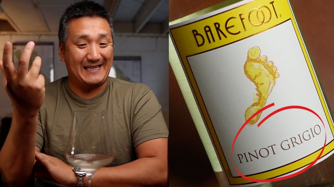 WINE Pro tastes 5 bottles UNDER $10