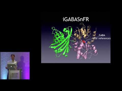 Jonathan Marvin, Phd: Flourescent Sensors for Neuroscience