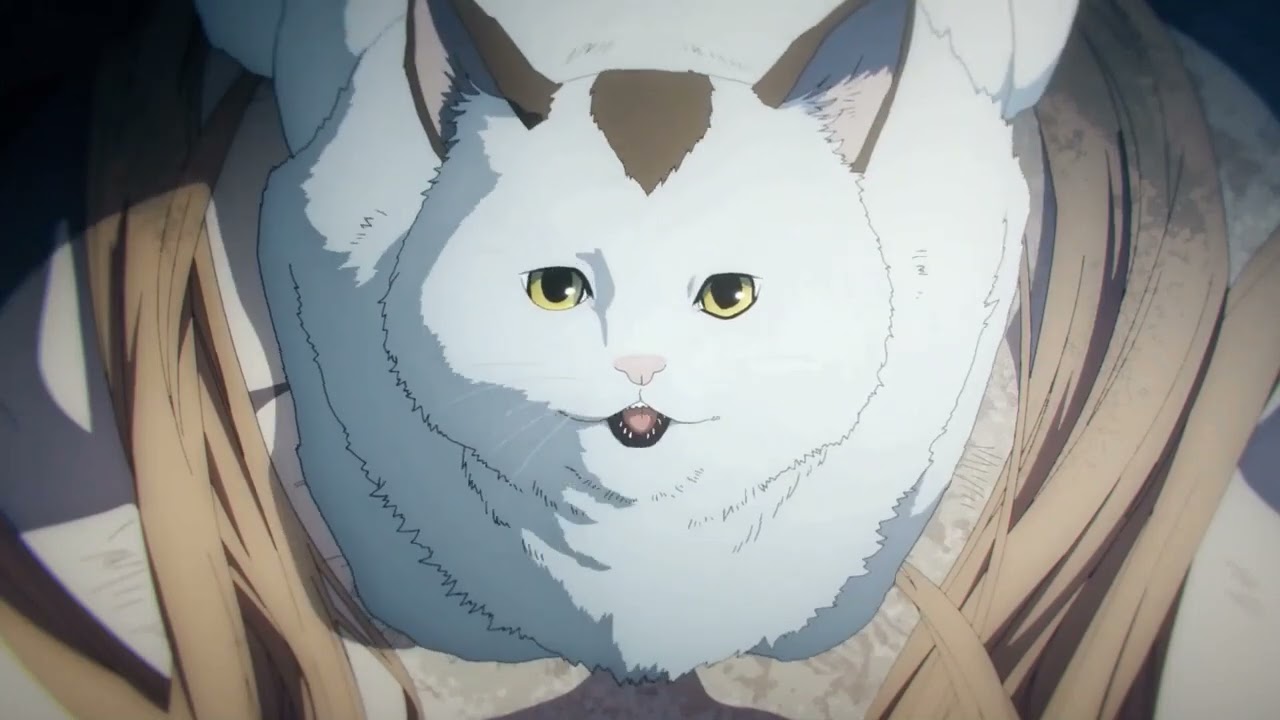 Nyaako's story! (Meowy) Chainsaw Man / チェンソーマン