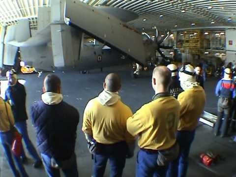Chiens jaunes sur le porte-avions Charles de Gaulle