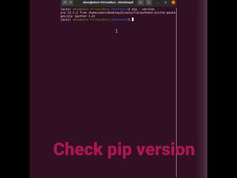 Check python pip version installed