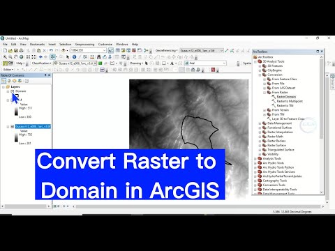 Convert Raster to Domain in ArcGIS: Extract boundary from raster
