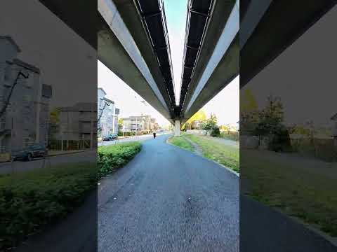 v for vanishing point