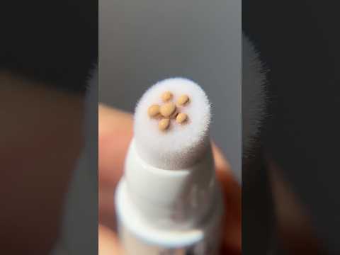 It Cosmetics Do it All Correcting Serum + Airbrush / Polite Society Major Sell-Outs Set! πβ¨