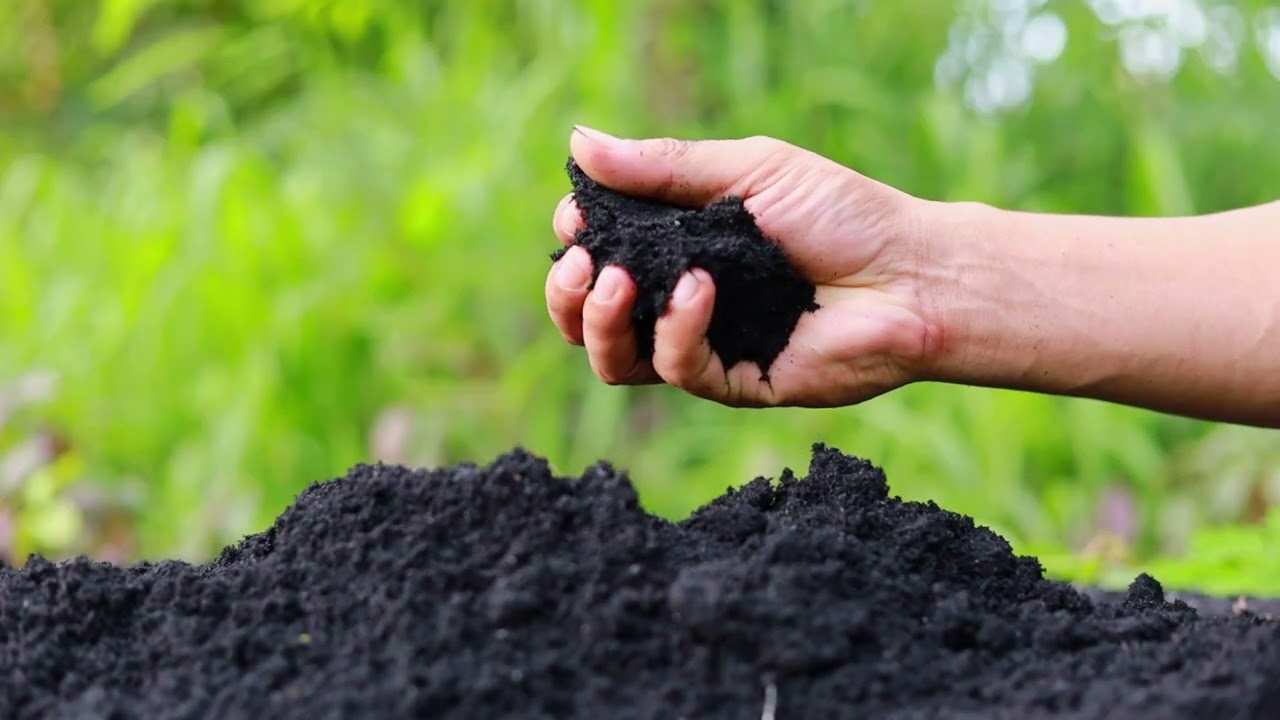 The Hidden Wealth Beneath Our Feet: Soil Organic Matter Explained