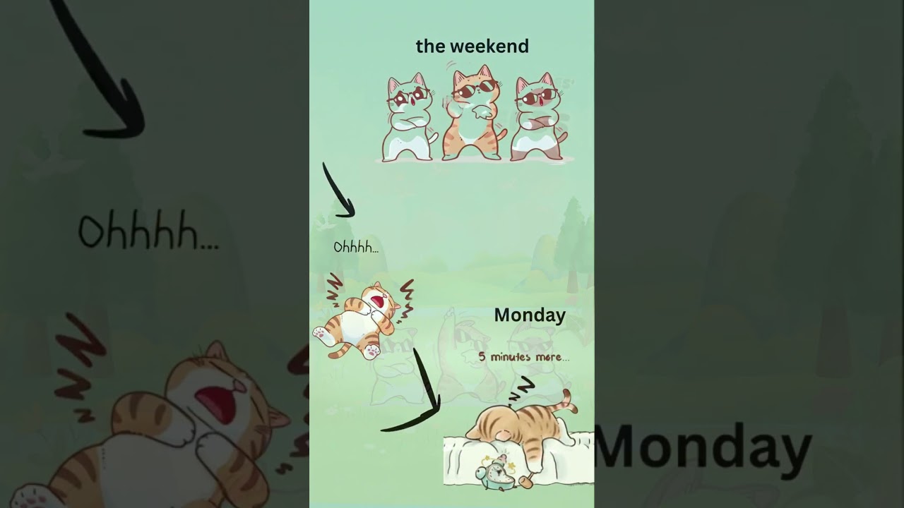 Lola ADVENTURES'  Its Monday again!  Youtube Shorts #animation #cat #mondayspecial  #funny #comics