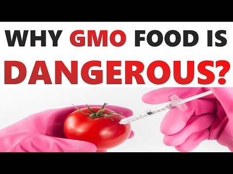 Why GMO Food is Dangerous
