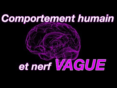 Le NERF VAGUE: nouvelle vision de notre physiologie