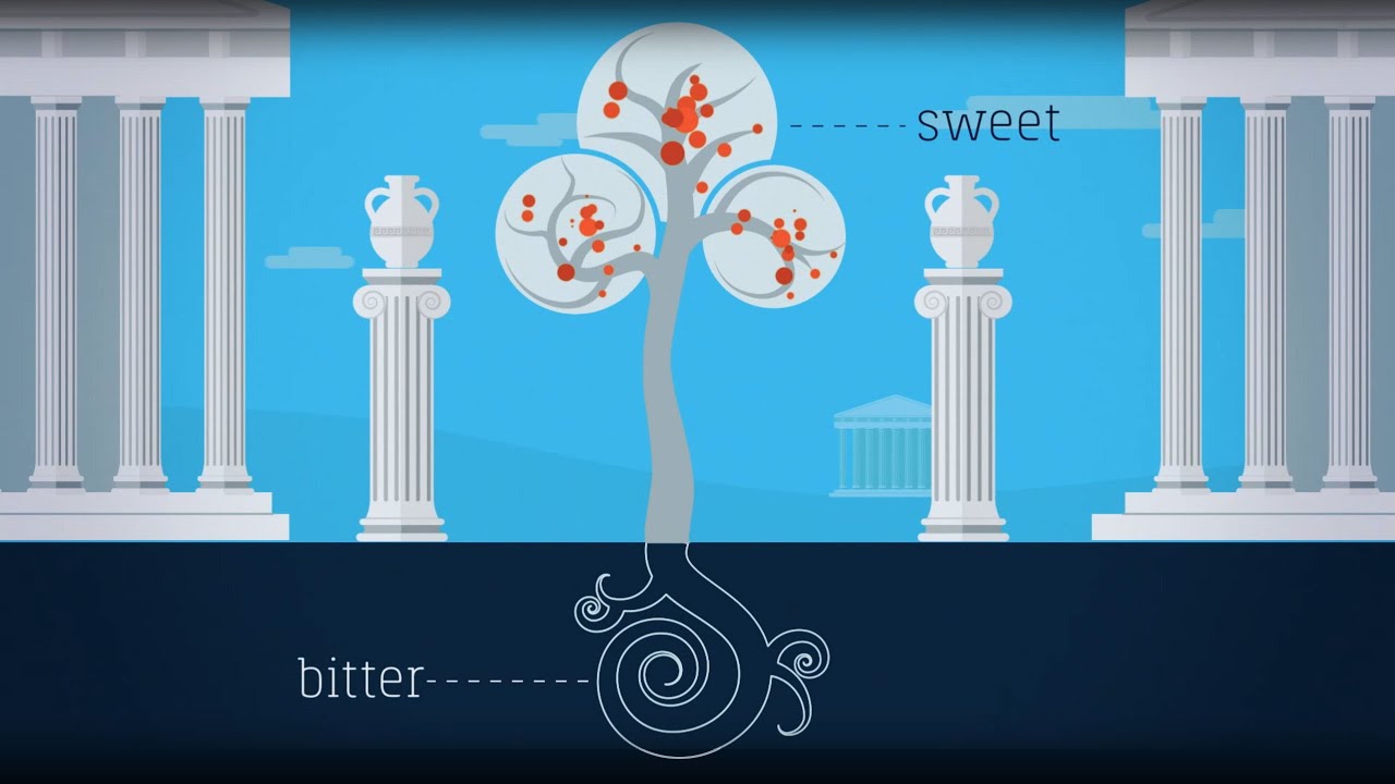 Mindful Education Explainer