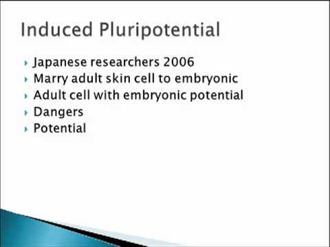 The 5 Types Of Stem Cells You Need Tip 1