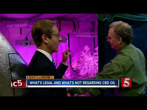 What's Legal And Illegal About CBD Oil In Tennessee
