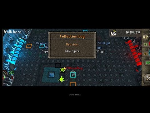 Unbelievable OSRS Pet Drops: Proof That Persistence Pays Off! - OSRS Montage #6 #osrs #runescape