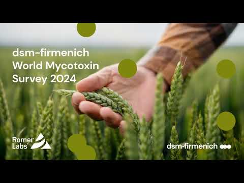 dsm-firmenich World Mycotoxin Survey 2024: Focus on Scandinavia
