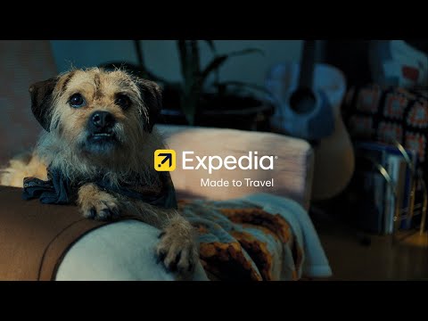 Expedia Running TV Ads Promoting their ChatGPT Ai – ai eCommerce