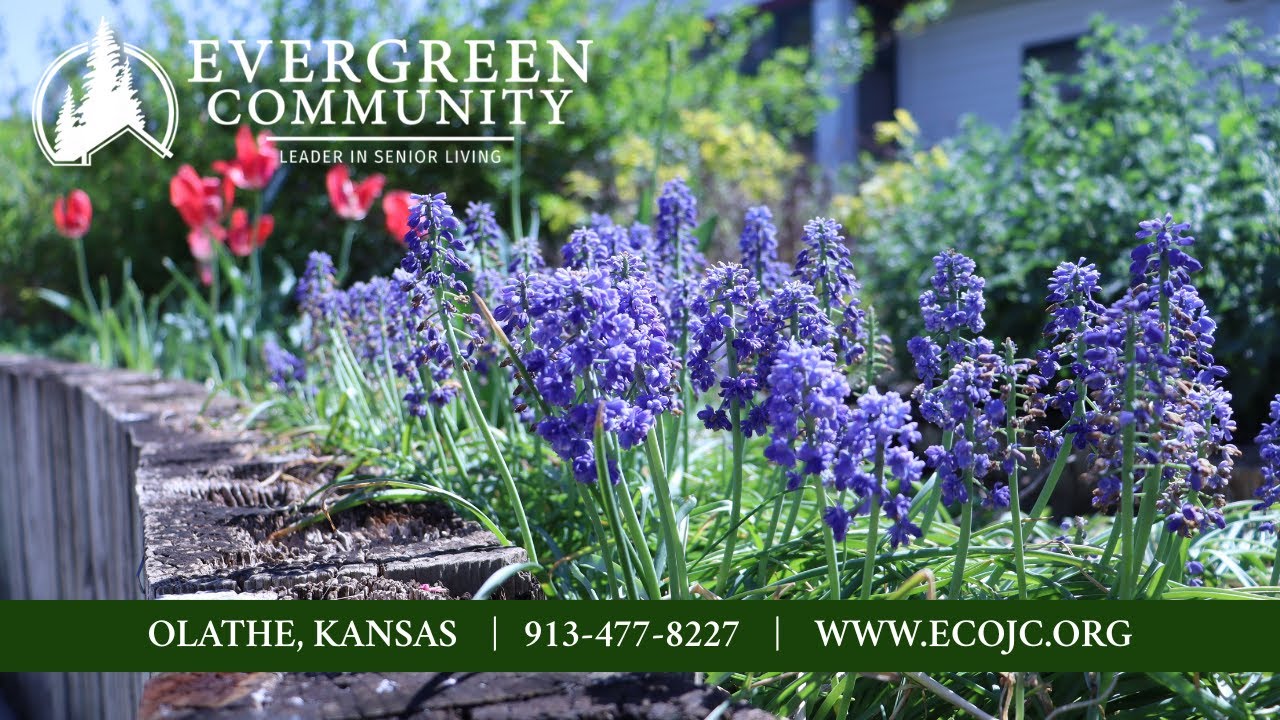 Welcome to Evergreen!