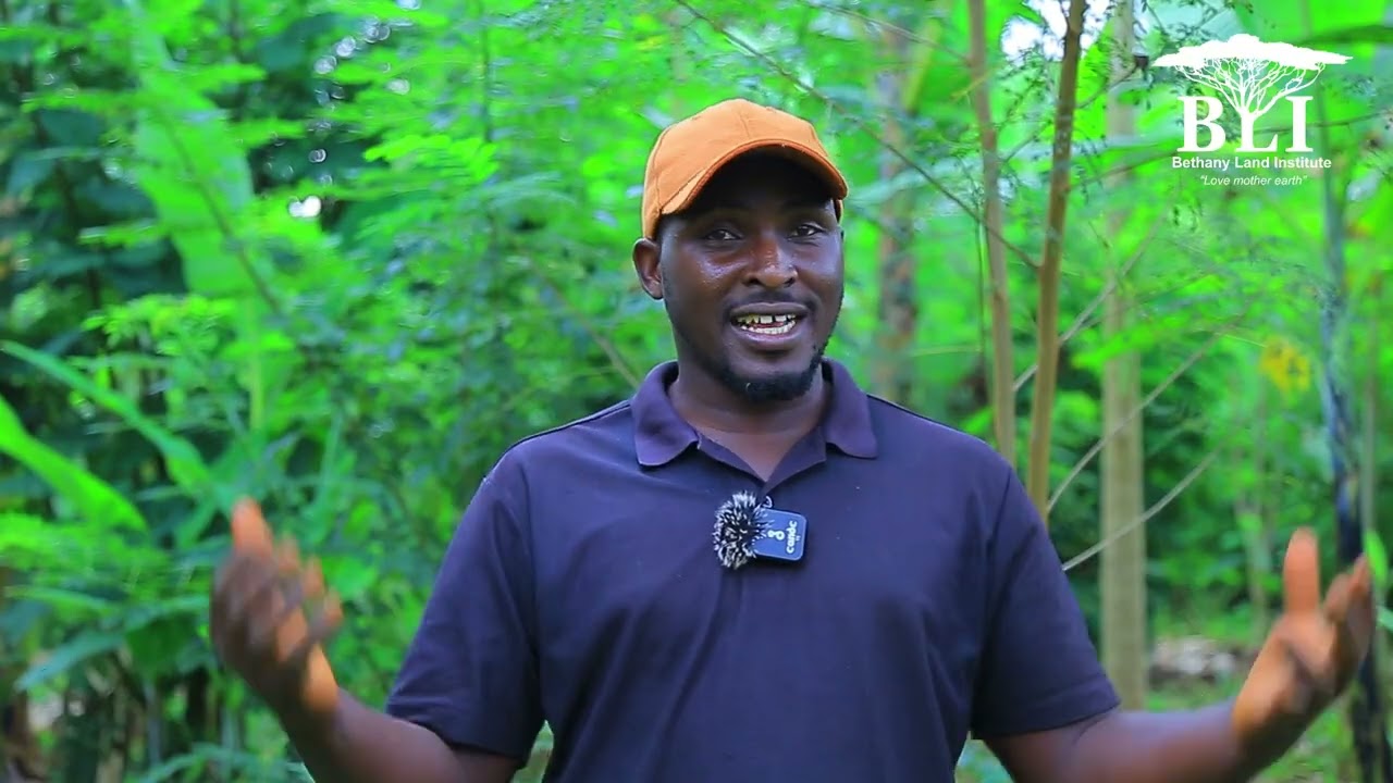 Why Regenerative Agroforestry is the Future of Sustainable Farming?