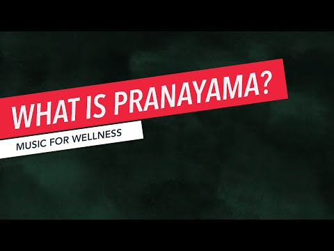 What is Pranayama? | Simple Breathing Exercises | Music Therapy | Music for Wellness 16/30