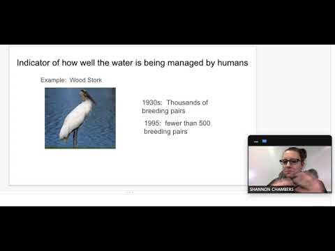 Indicator Species Video